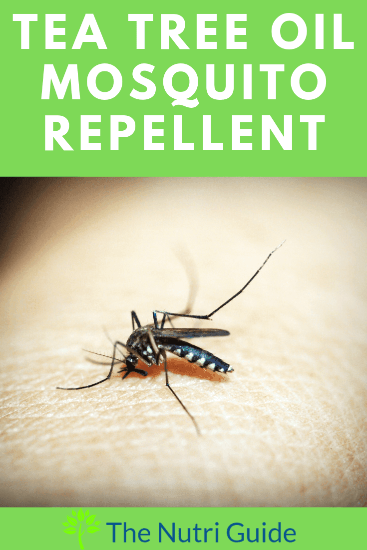 DIY Tea Tree Oil Mosquito Repellent & Mosquito Bites Treatment