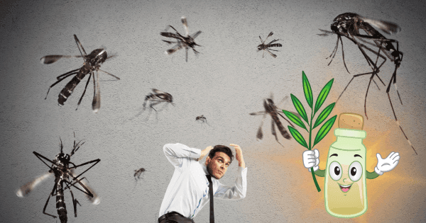 DIY Tea Tree Oil Mosquito Repellent & Mosquito Bites Treatment