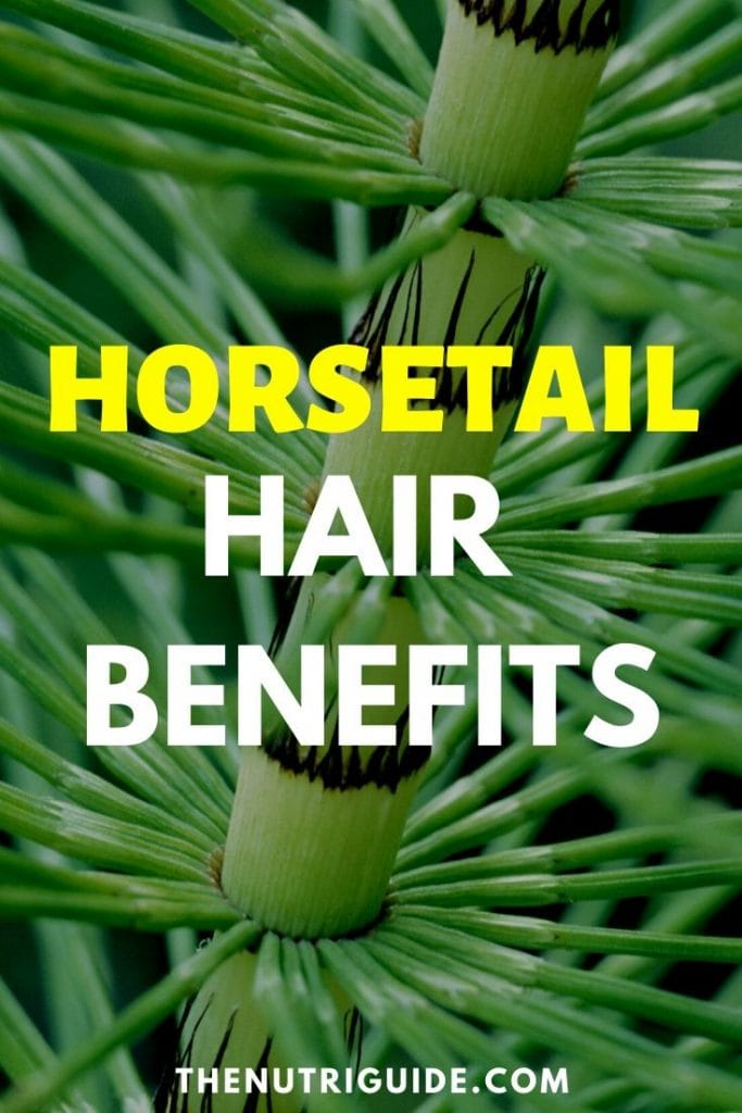 Horsetail Oil for Hair Benefits: Improve Growth Naturally