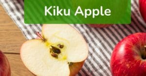 The World's Weirdest & Rare Apple Varieties